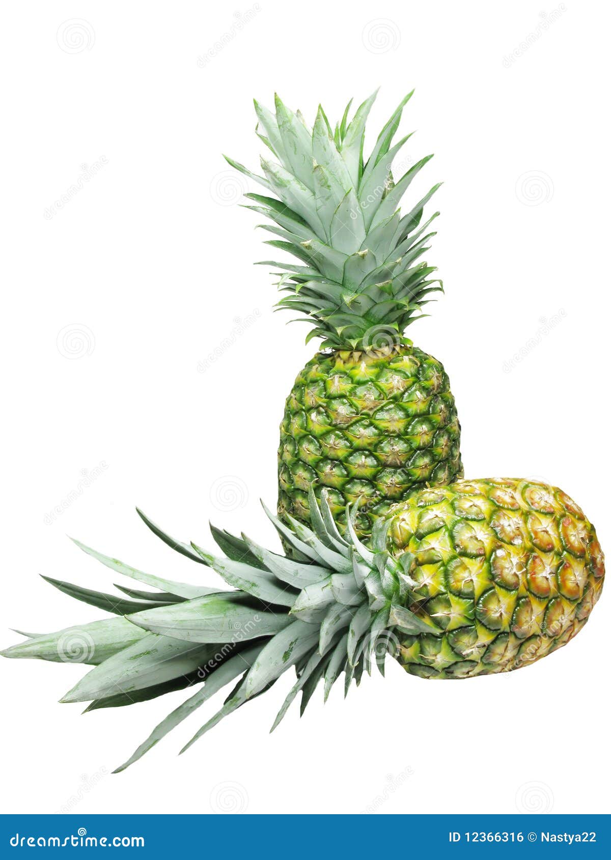 Two pineapples stock photo. Image of nature, juicy, fruit - 12366316