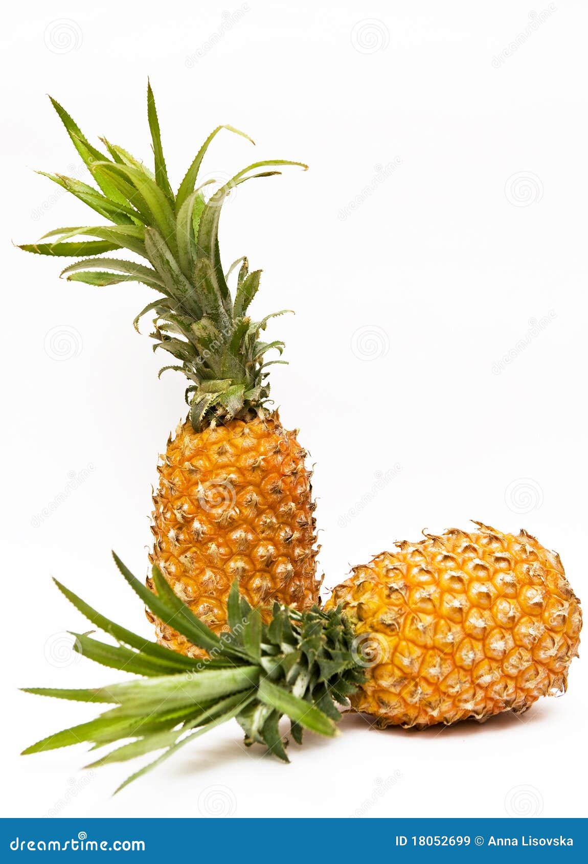 Two pineapples stock image. Image of nature, refreshment - 18052699