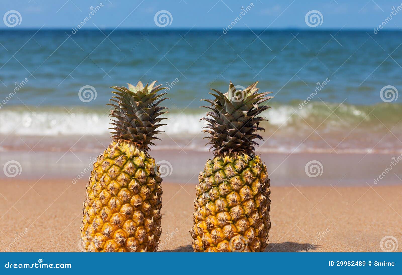 Two Pineapples on the Beach. Stock Image - Image of sunny, shadow: 29982489