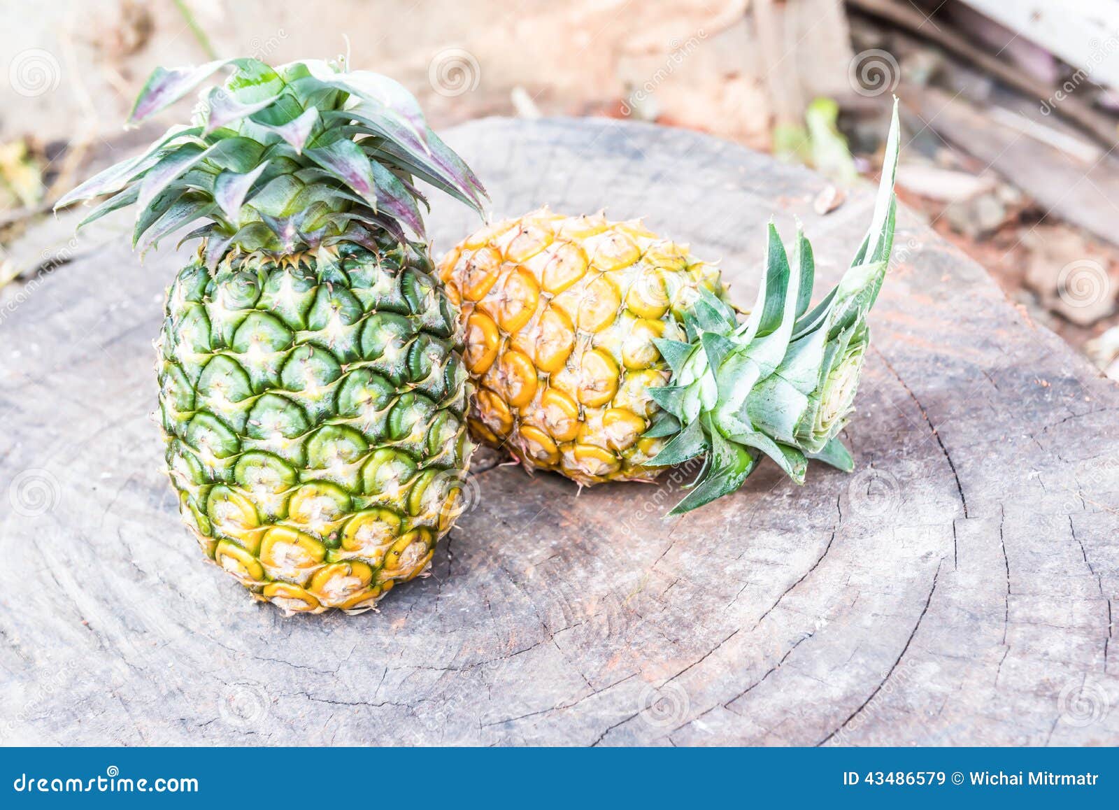 Two Pineapples on Wooden Grunge Background Stock Image - Image of ...