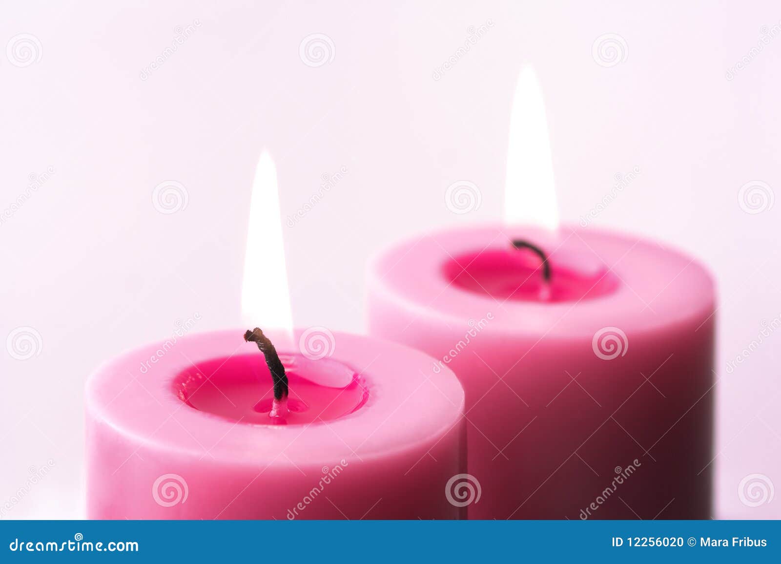 Pink Candles Stock Image | CartoonDealer.com #61323121