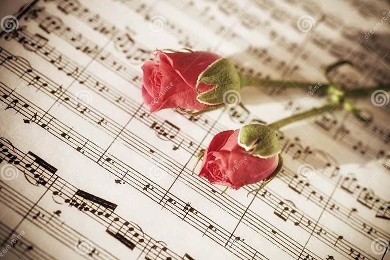 Two Pink Roses on Sheets of Musical Notes Stock Image - Image of note ...