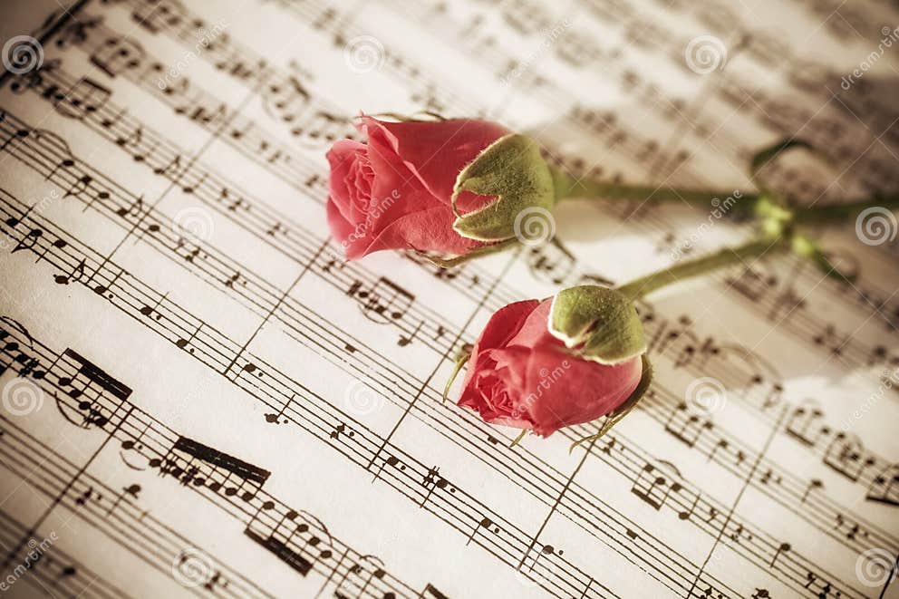 Two Pink Roses on Sheets of Musical Notes Stock Image - Image of note ...