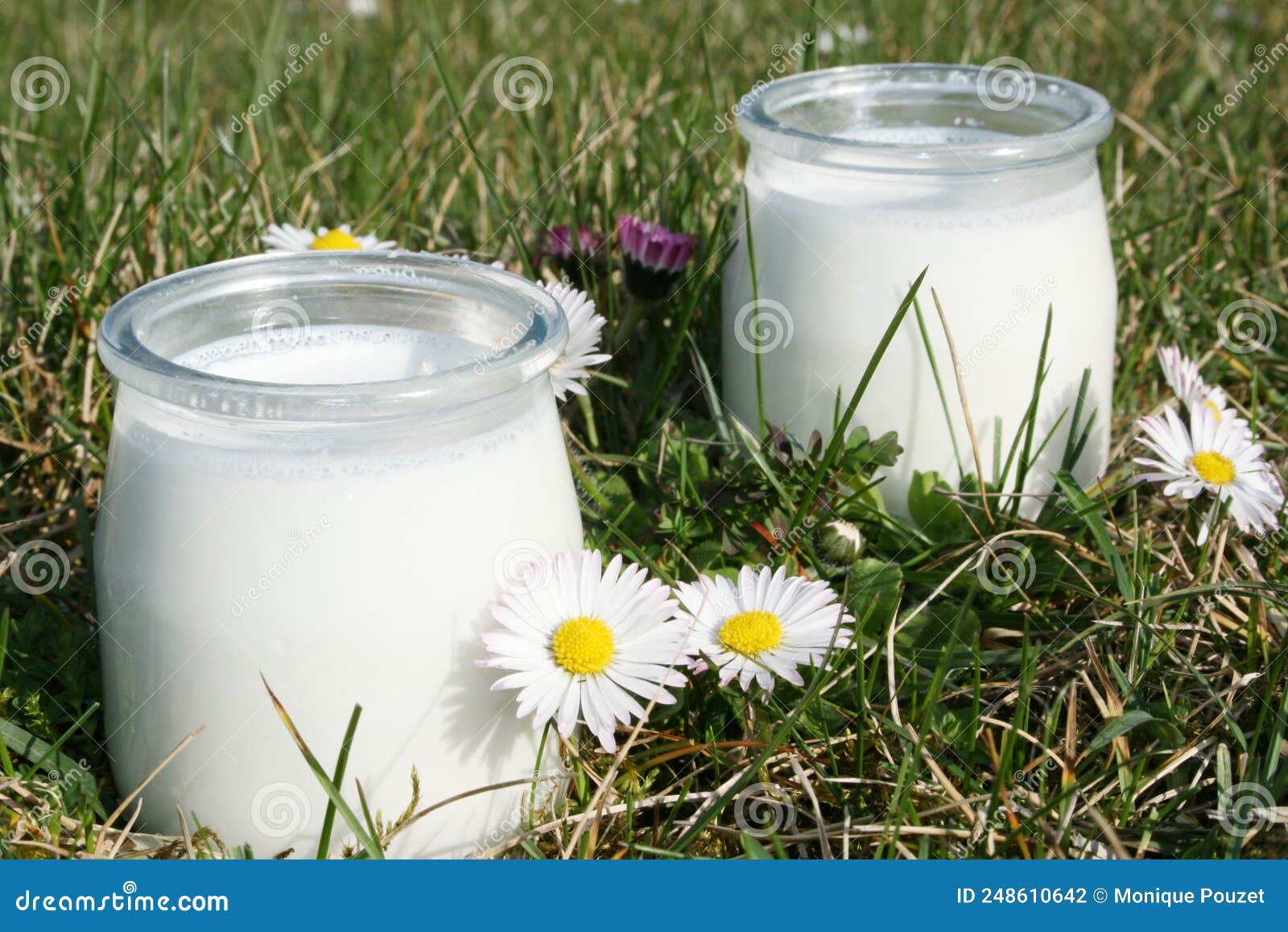 Two plain yoghurts stock photo. Image of milk, farm - 248610642