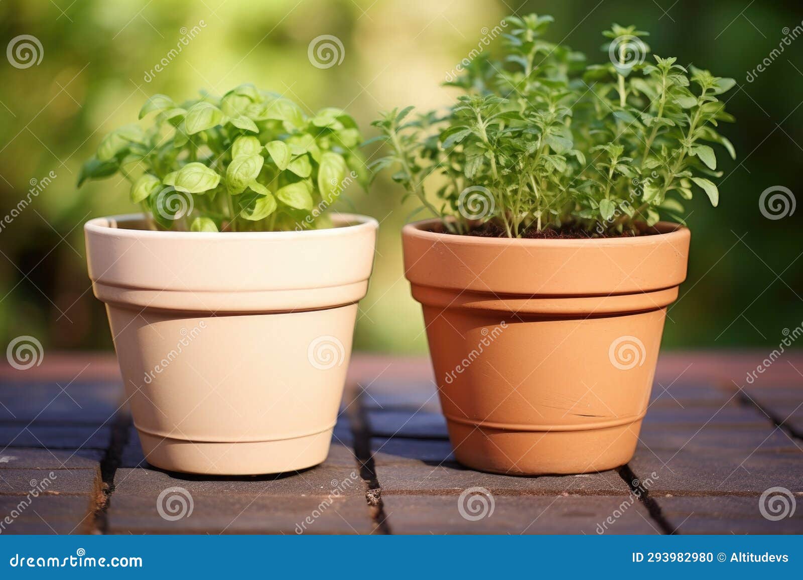 Two Plant Pots Separated from a Group Stock Illustration - Illustration ...