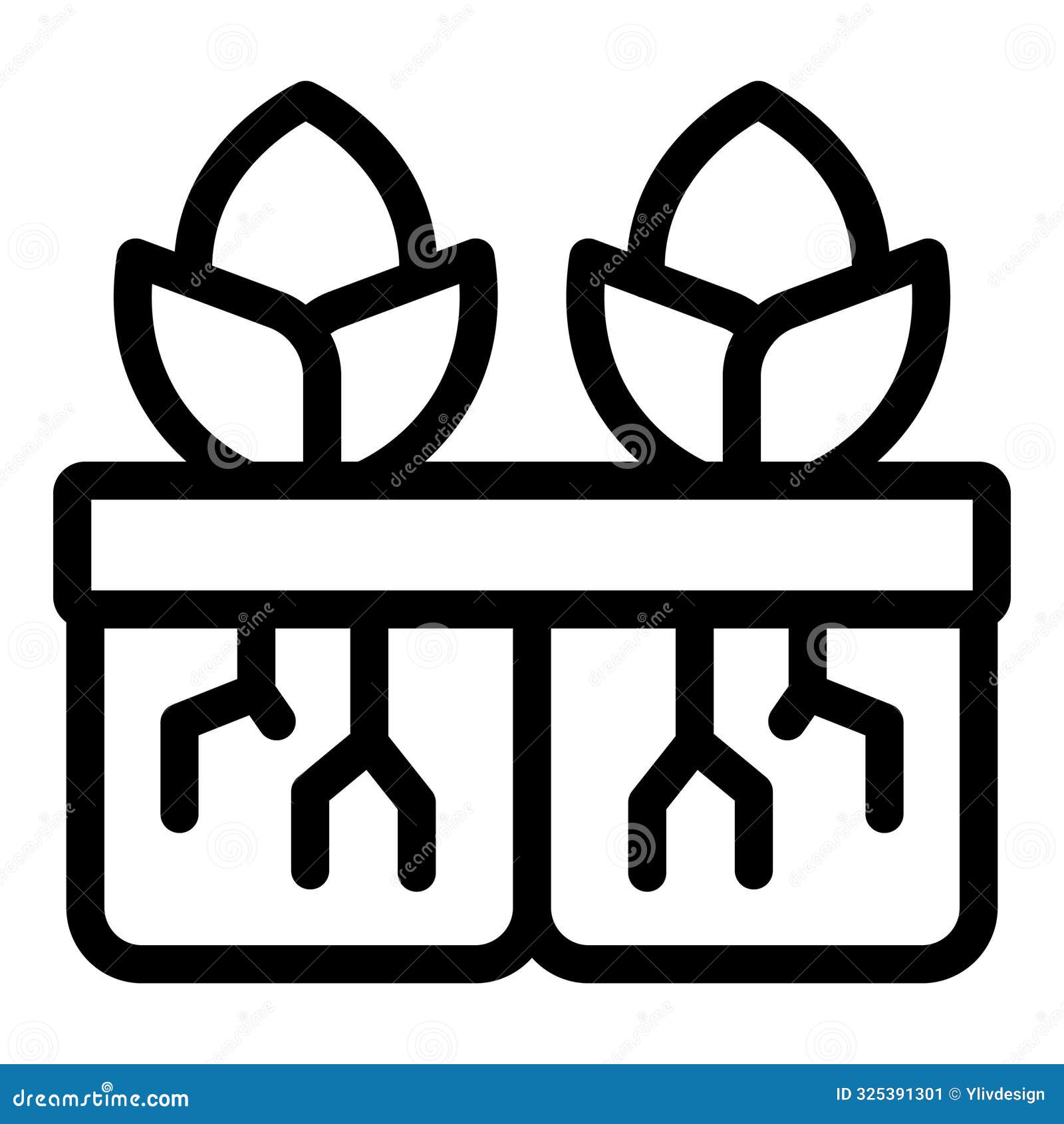 Two Plants Growing in Separate Pots Connected by Their Roots ...