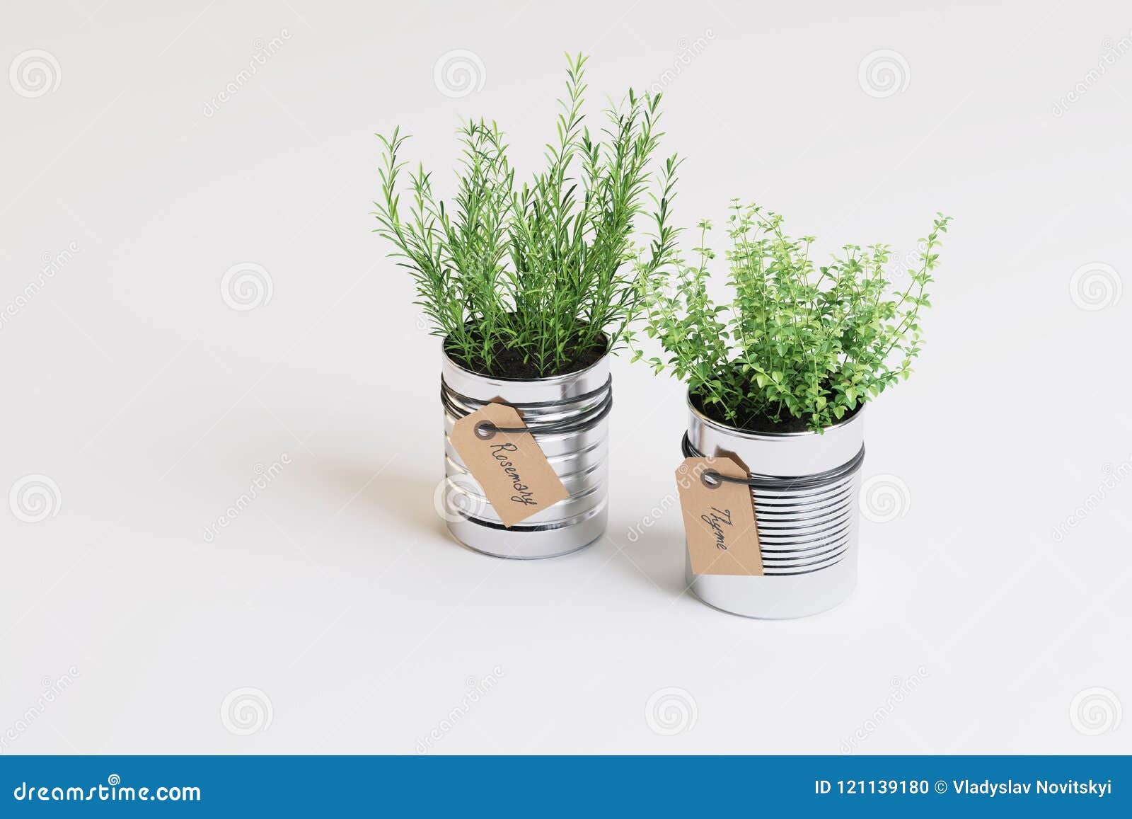 Two plants in pots stock photo. Image of ingredient - 121139180