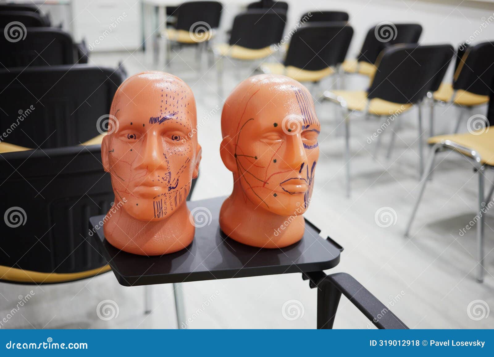Two Plastic Models of Human Head with Cosmetology Stock Photo - Image ...