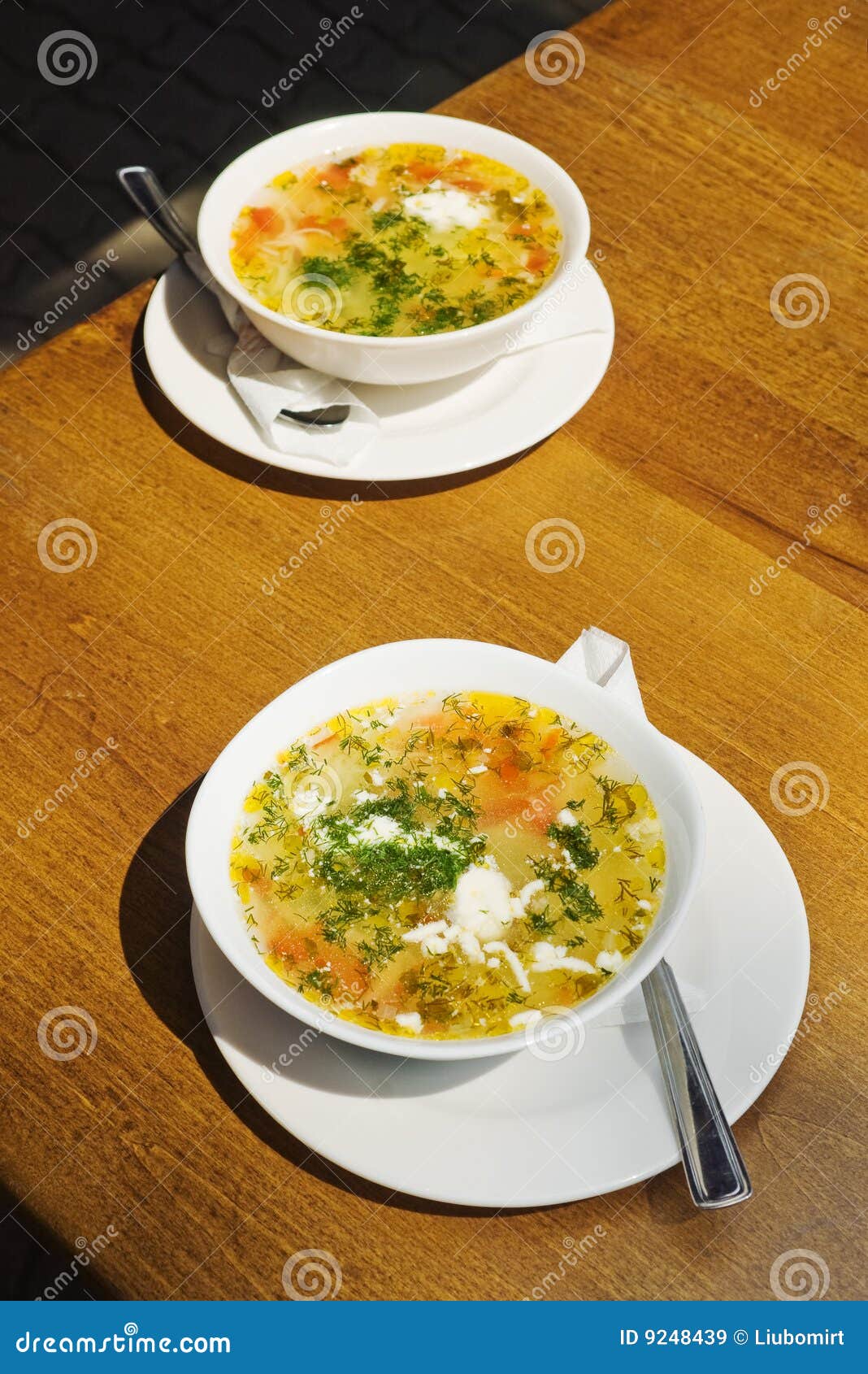 Two plates with soup stock image. Image of culinary, moldova - 9248439