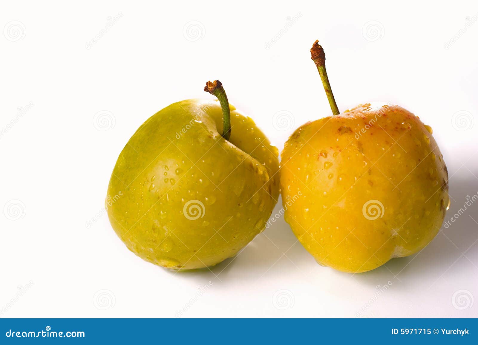 Two Plums Isolated on White Stock Image - Image of objects, grocery ...