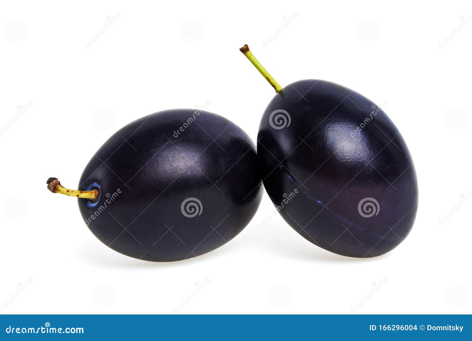 Two Plums Isolated on a White Background Stock Photo - Image of group ...