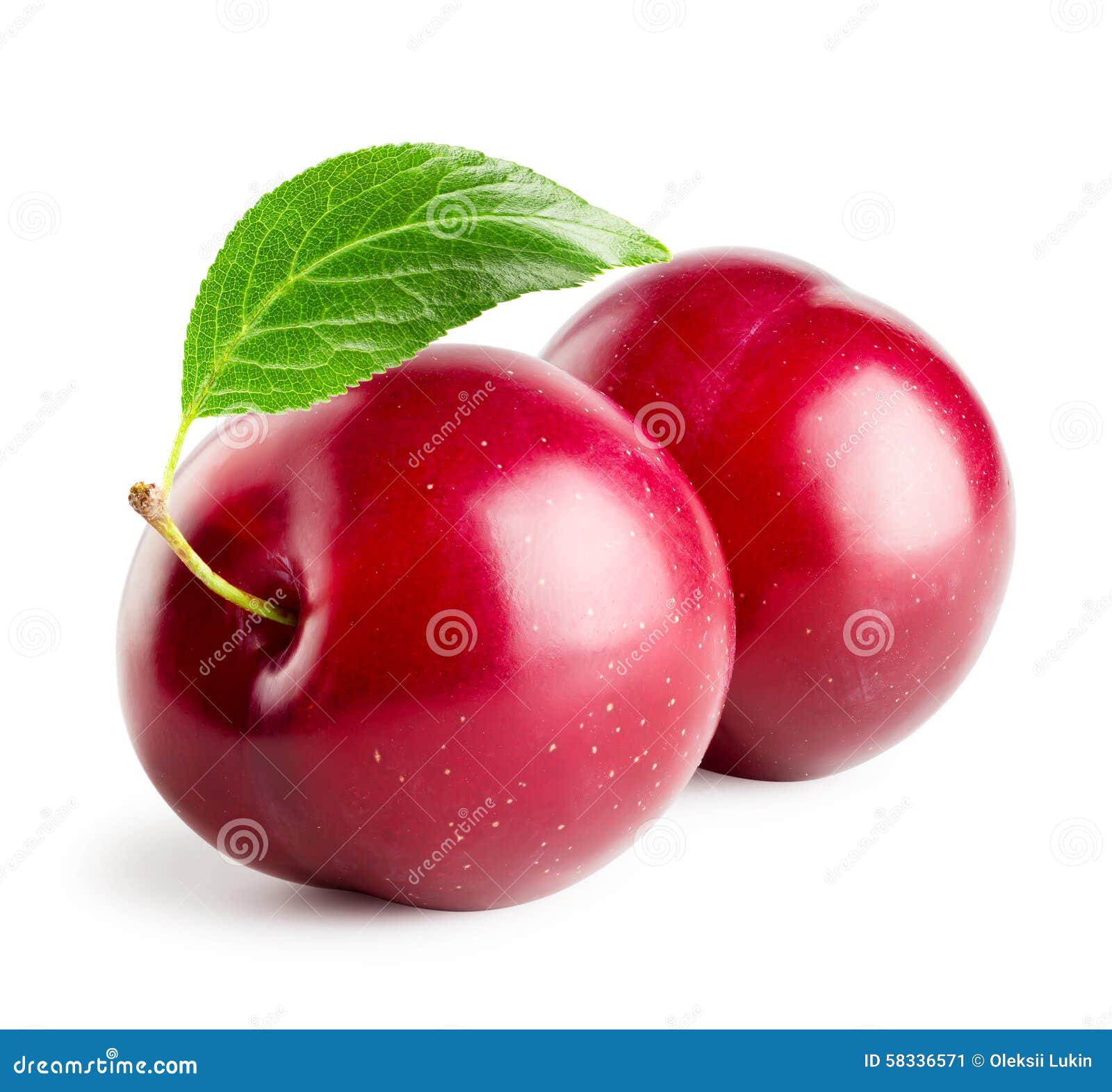 Two plums with leaf stock image. Image of fruits, green - 58336571