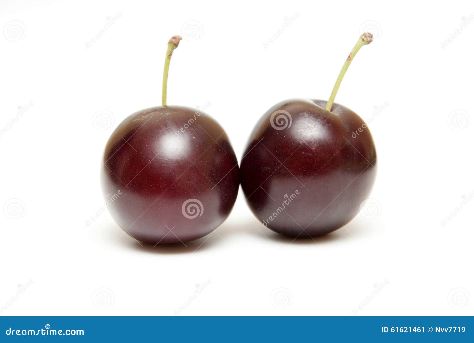 Two plums stock image. Image of season, freshly, white - 61621461