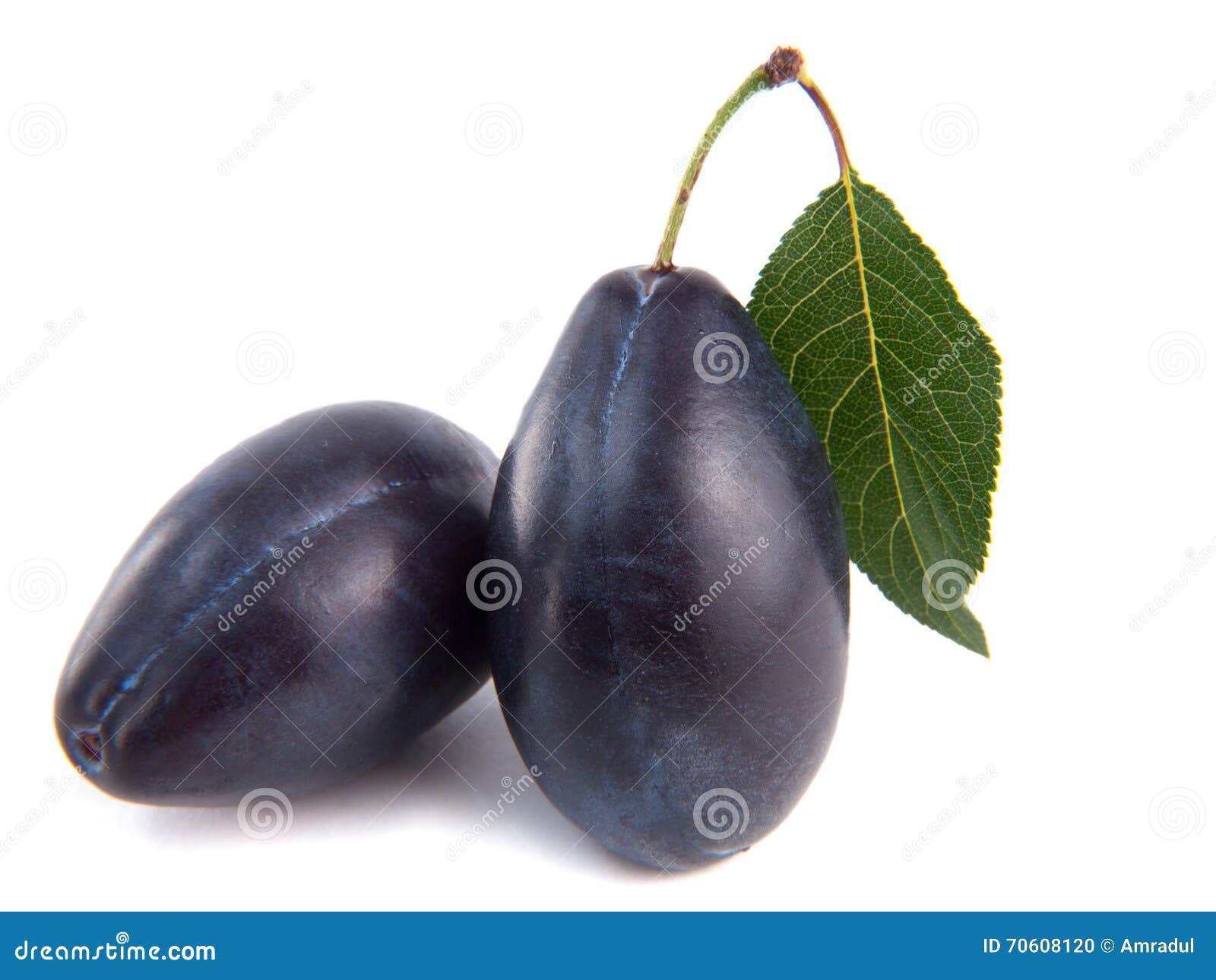Two plums stock photo. Image of nature, slice, tasty - 70608120