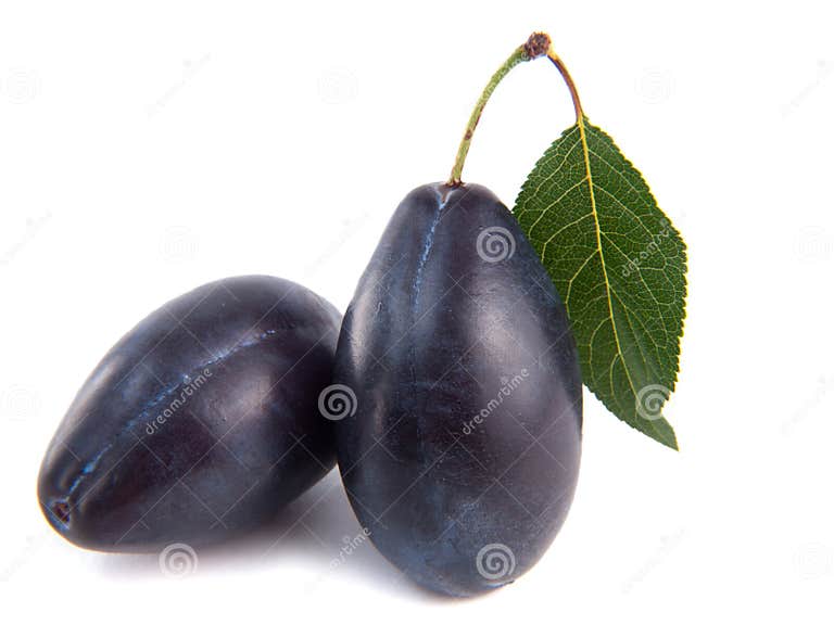 Two plums stock photo. Image of nature, slice, tasty - 70608120