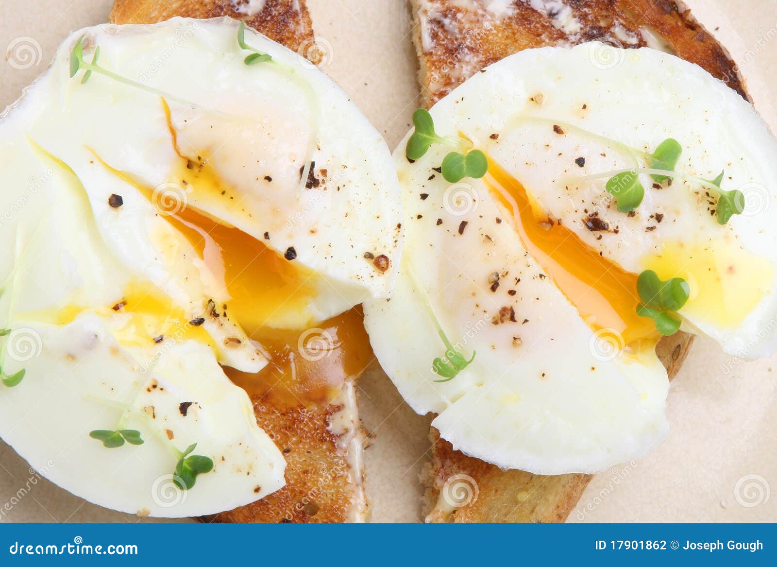 Two Poached Eggs on Toast stock photo. Image of salt - 17901862