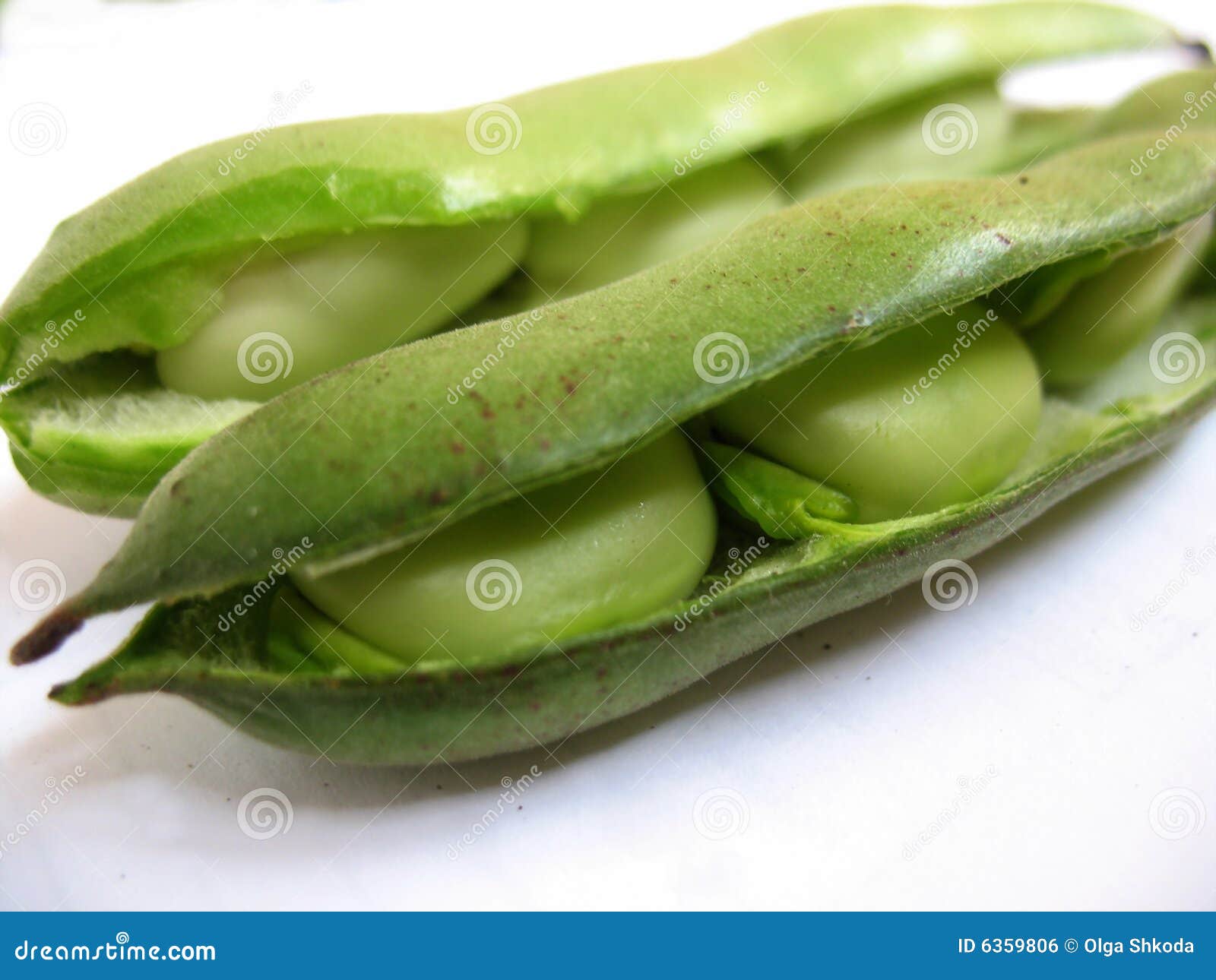 Two pods stock photo. Image of fruitage, conservation - 6359806
