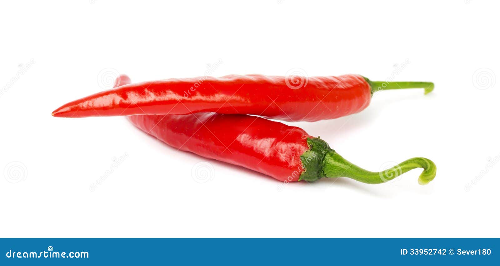 Two Pods of Hot Pepper on a White Stock Photo - Image of pepper ...