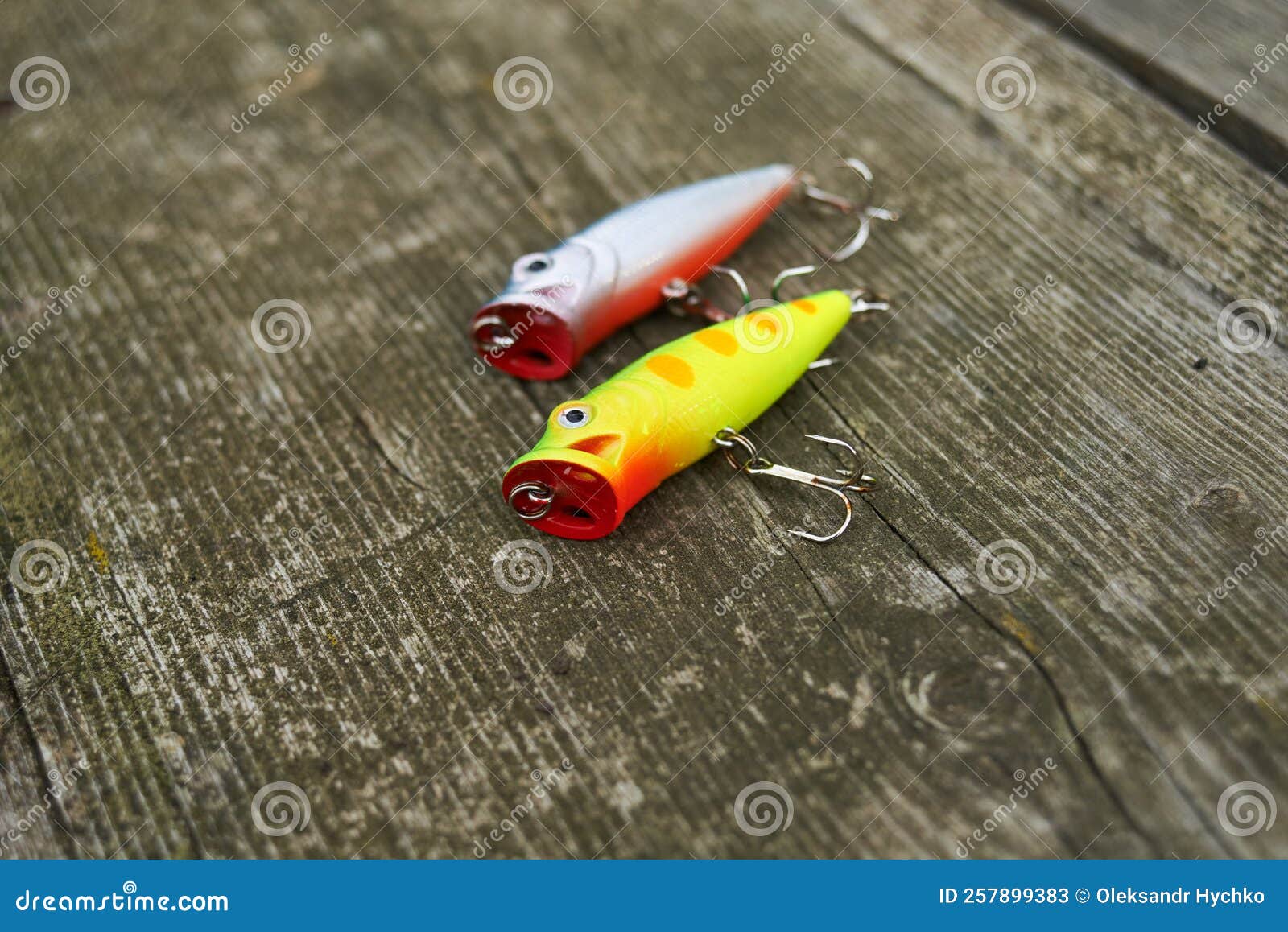 Two Popper Lures for Predatory Fish Stock Image - Image of fishermen ...
