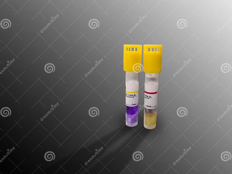 Two Positive and Negative Biological Indicators of Hydrogen Peroxide ...