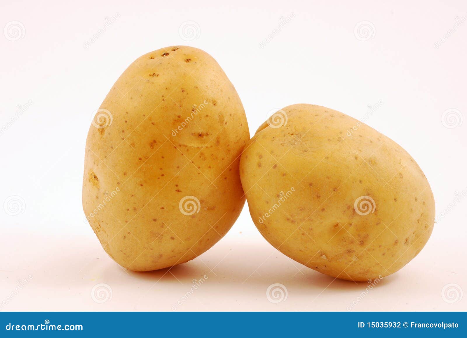 Two Potatoes stock photo. Image of food, tuber, land - 15035932