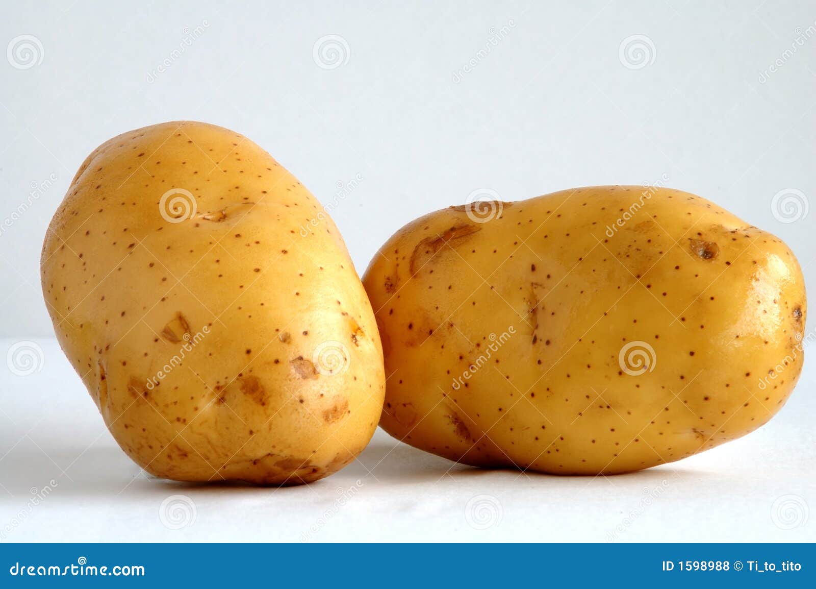 Two potatoes stock photo. Image of background, edible - 1598988