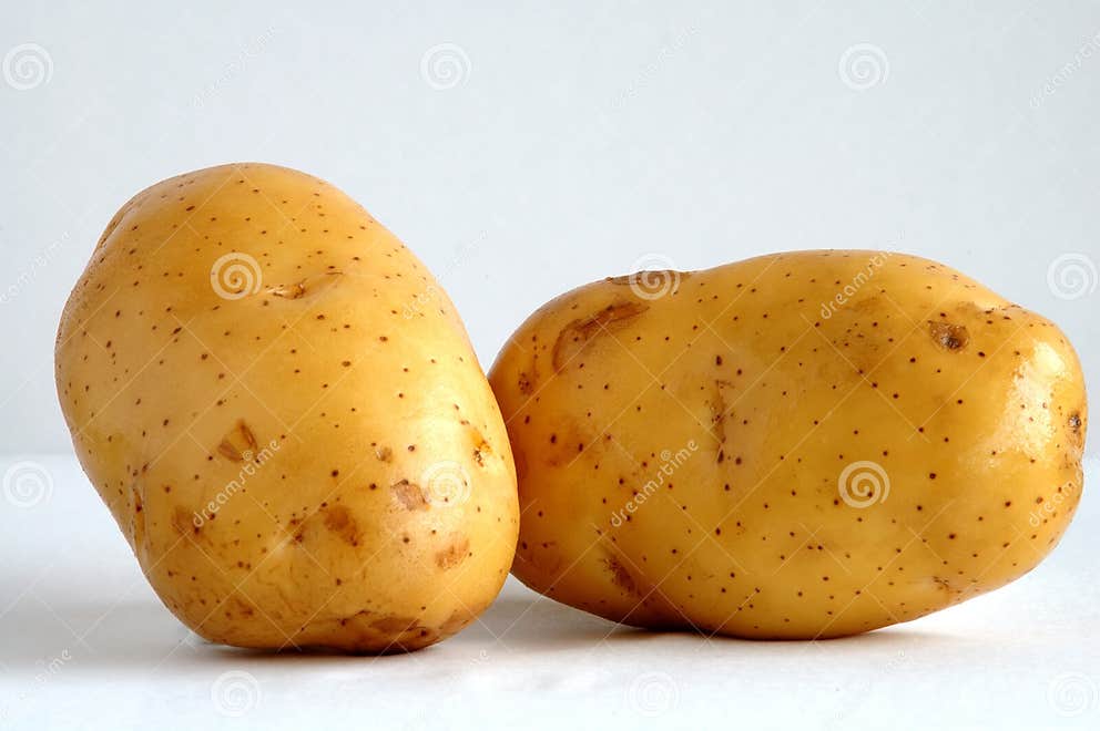 Two potatoes stock photo. Image of background, edible - 1598988