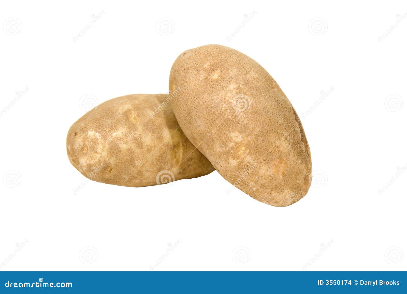 Two Potatoes stock photo. Image of brown, isolated, root - 3550174