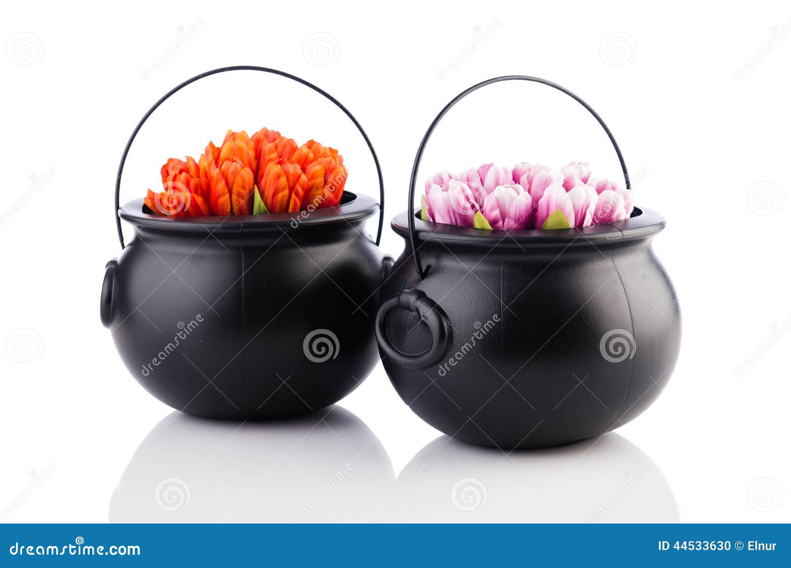 Two Pots with Tulip Flowers Stock Photo - Image of garden, color: 44533630