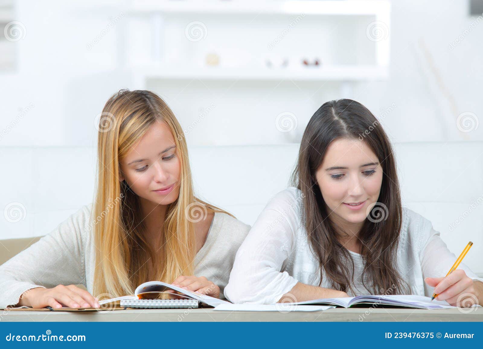 Two Pretty Women Studying Together in Library Stock Image - Image of ...