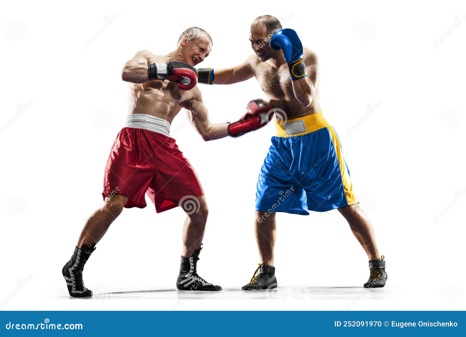 2 Two Professional Box Figters Isolated on the White Background Stock ...