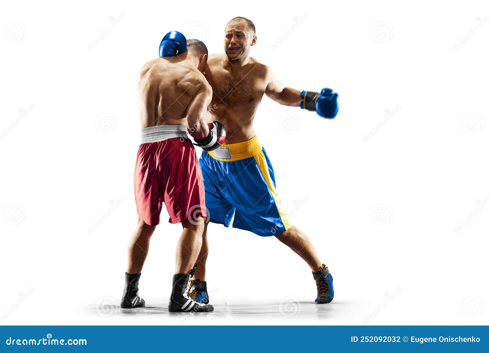 2 Two Professional Box Figters Isolated on the White Background Stock ...