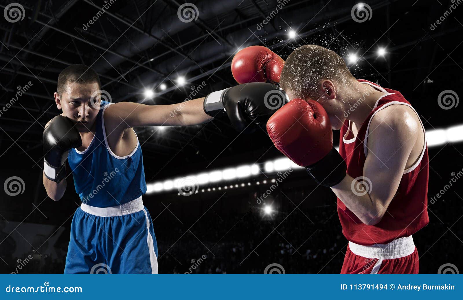 Two Professional Boxer Boxing Stock Photo - Image of competitive ...