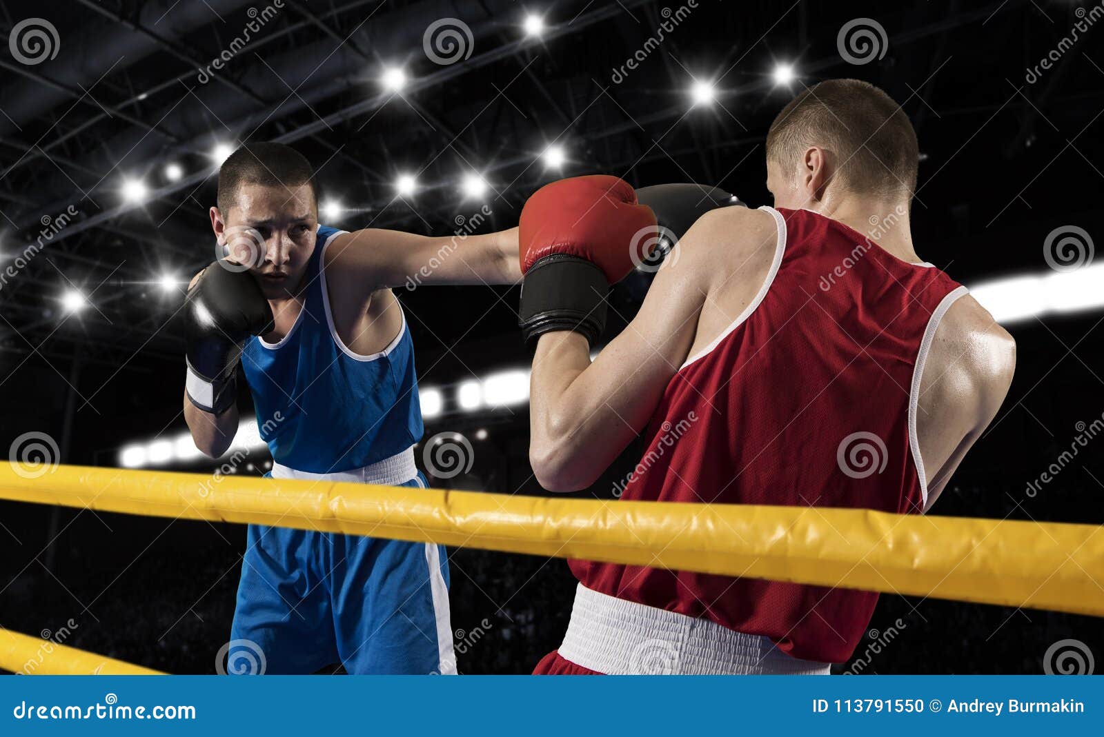 Two Professional Boxer Boxing Stock Photo - Image of competition ...