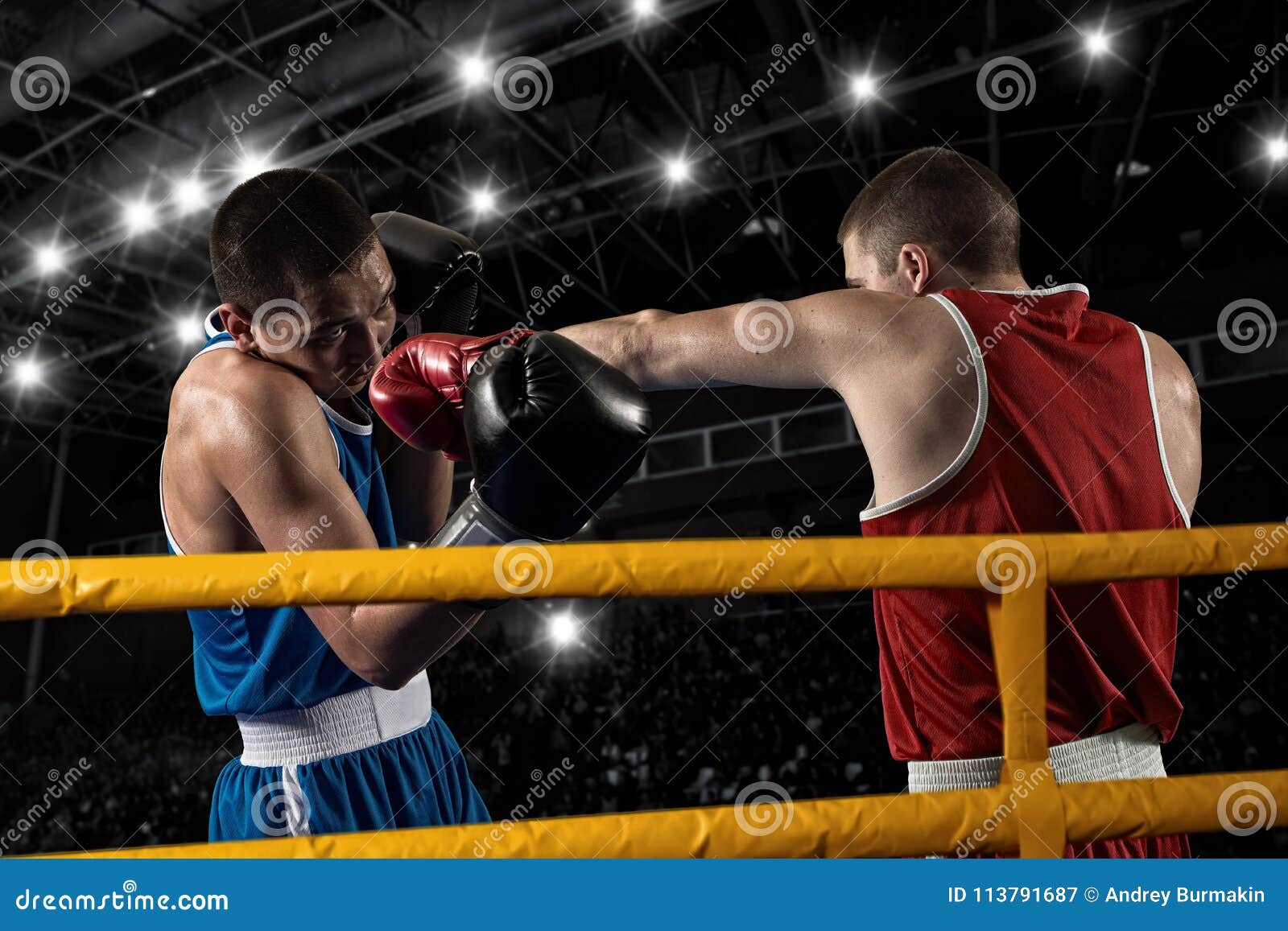 Two Professional Boxer Boxing Stock Image - Image of match, fist: 113791687