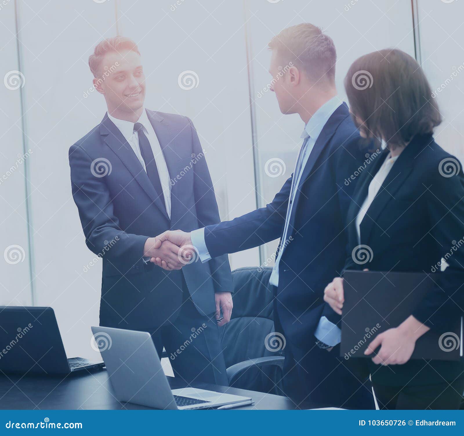 Professional Business People Shaking Hands Stock Photo - Image of ...