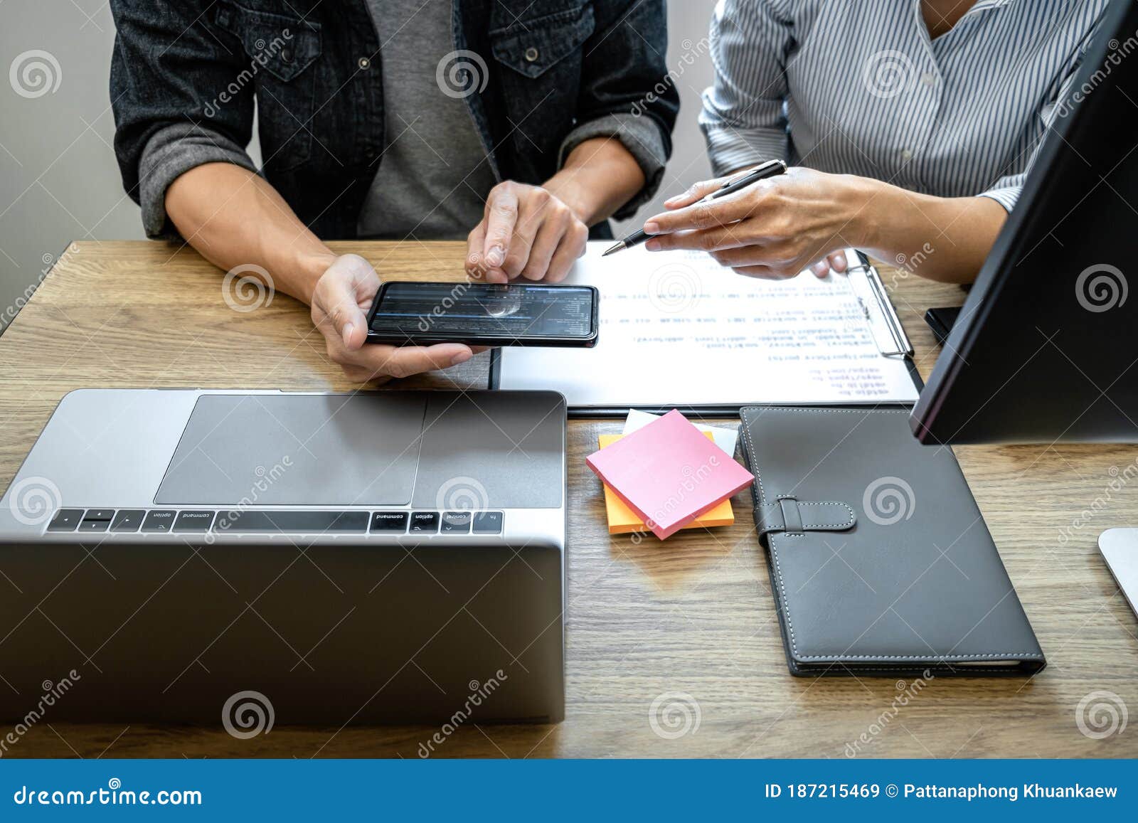 Two Professional Programmer Cooperating and Working on Web Site Project ...