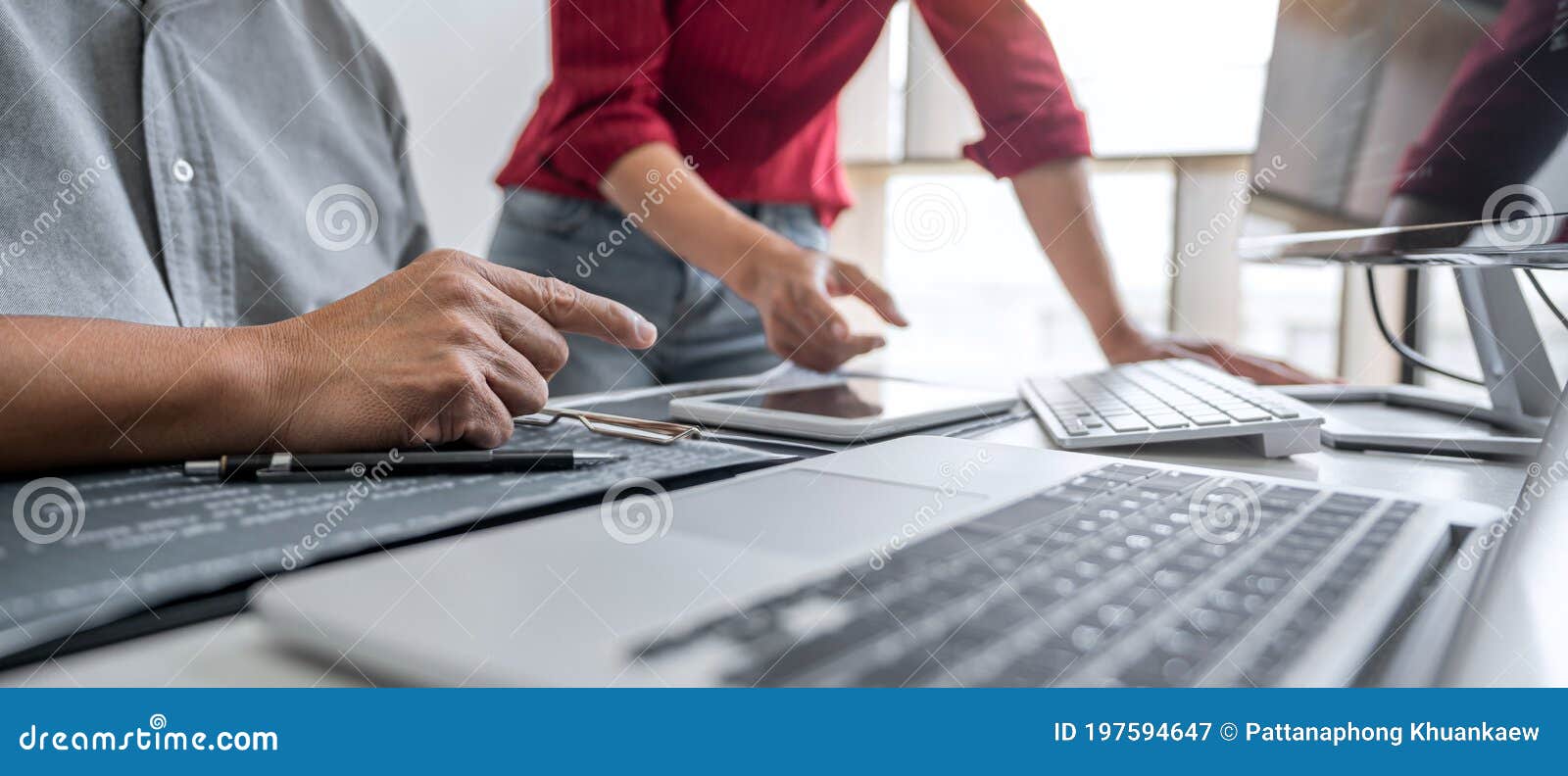 Two Professional Programmer Cooperating and Working on Web Site Project ...