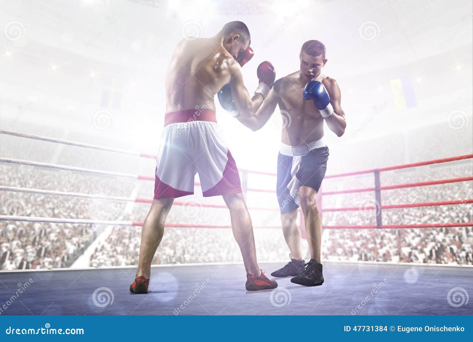 Two Professionl Boxers are Fighting on Arena Stock Photo - Image of ...