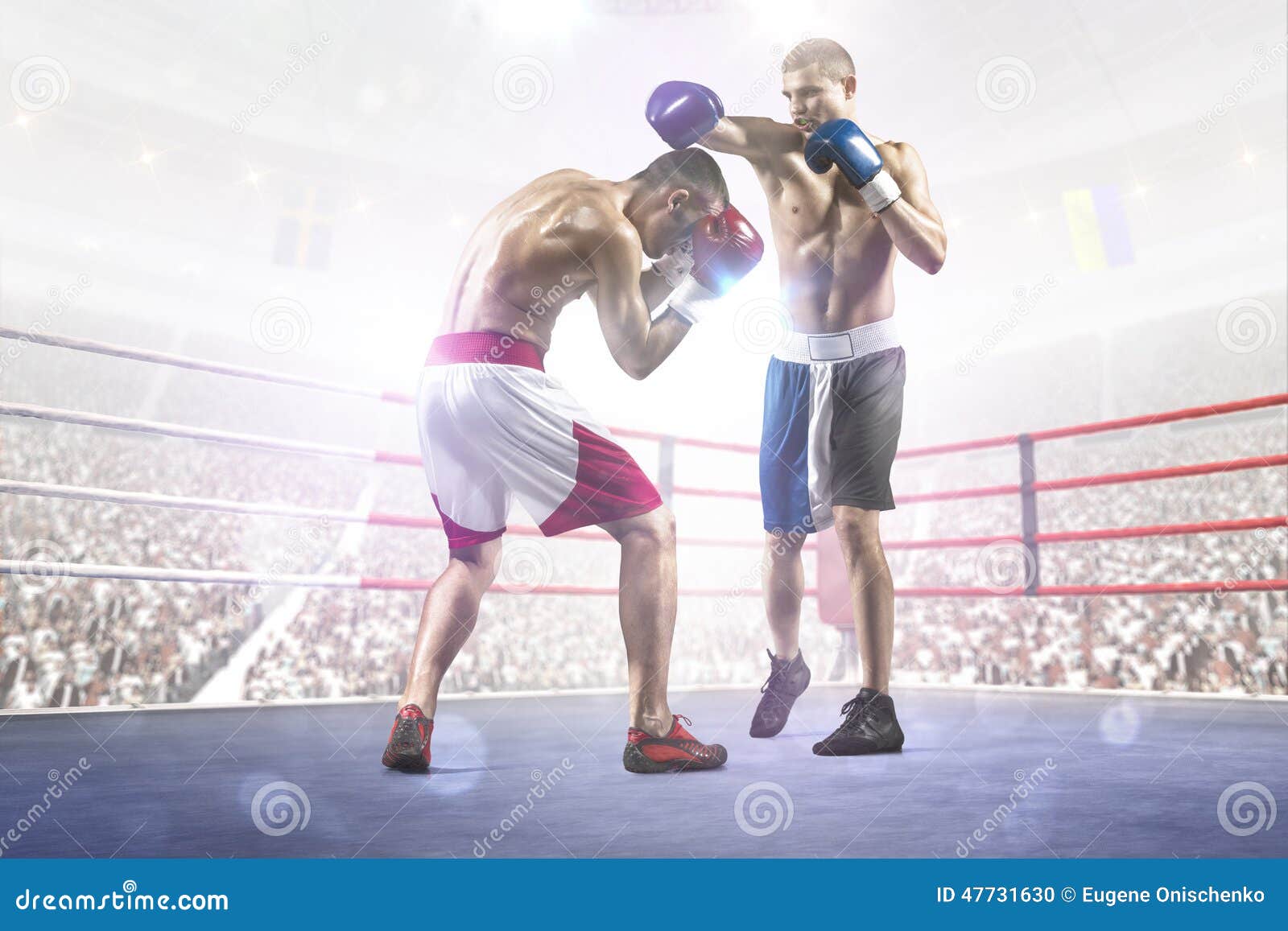 Two Professionl Boxers are Fighting on Arena Stock Photo - Image of ...