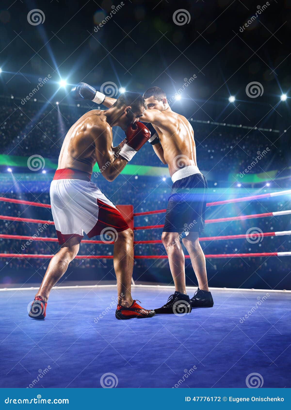 Two Professionl Boxers are Fighting on Arena Stock Photo - Image of ...