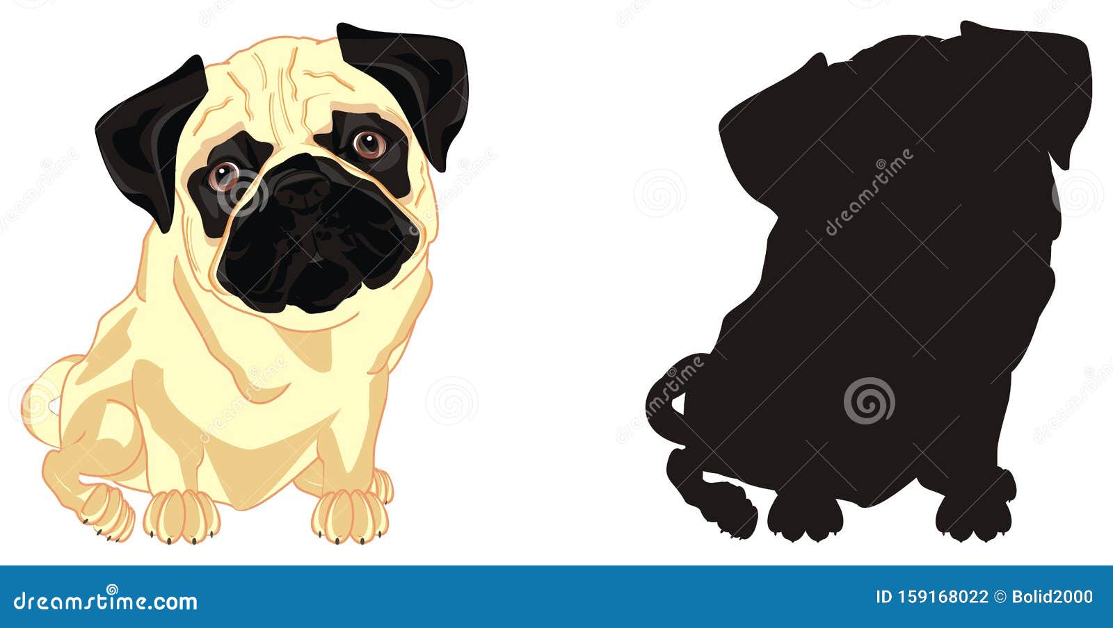 Two pugs together stock illustration. Illustration of expensive - 159168022