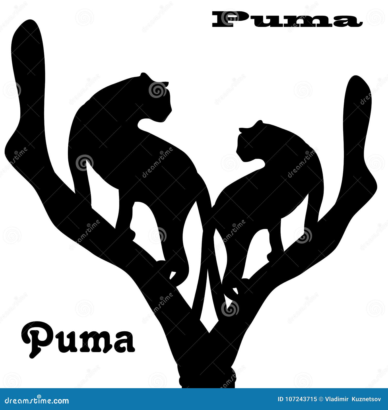 Pumas Cartoons, Illustrations & Vector Stock Images - 53 Pictures to ...