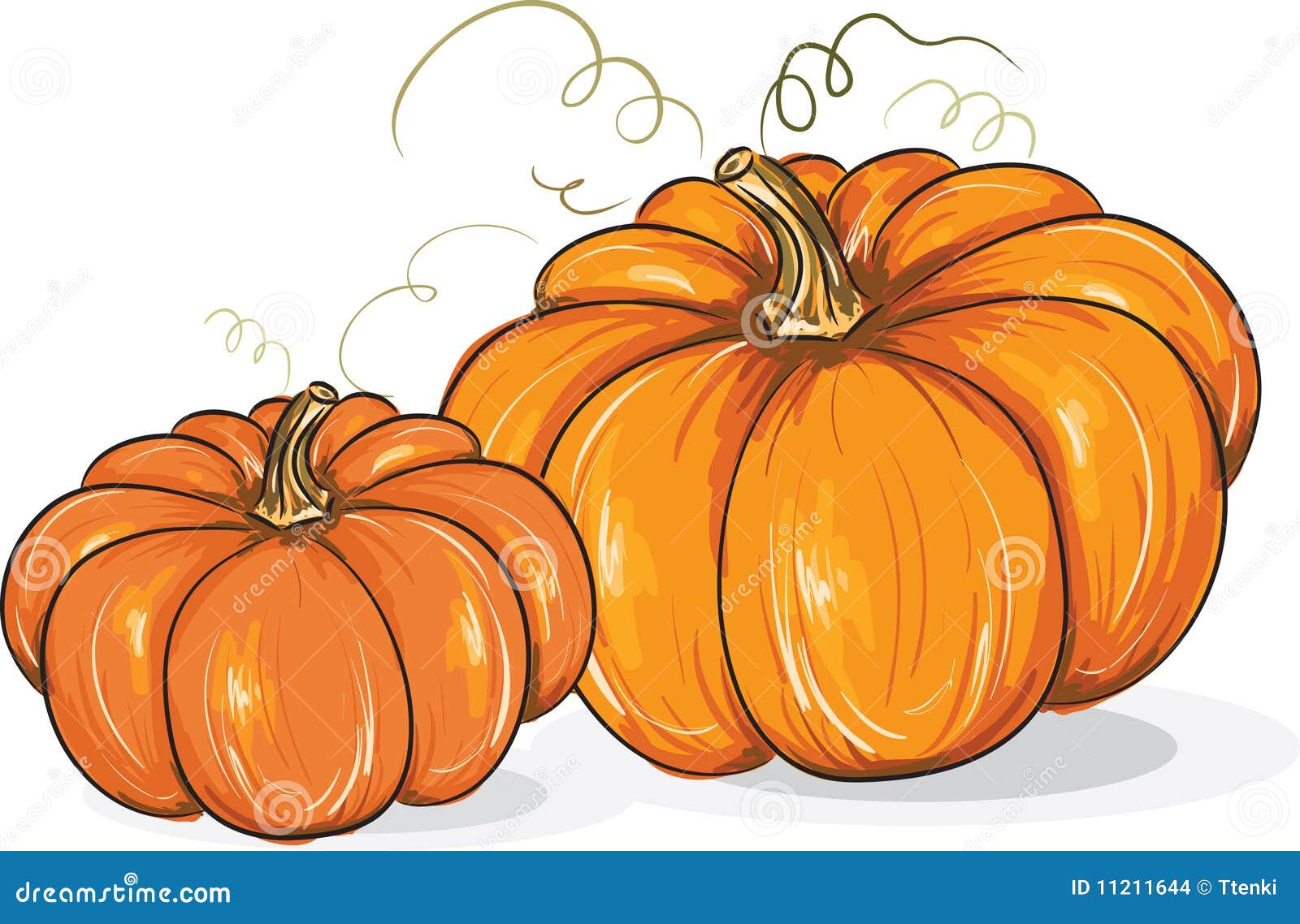 Two pumpkins stock vector. Illustration of painting, culture - 11211644