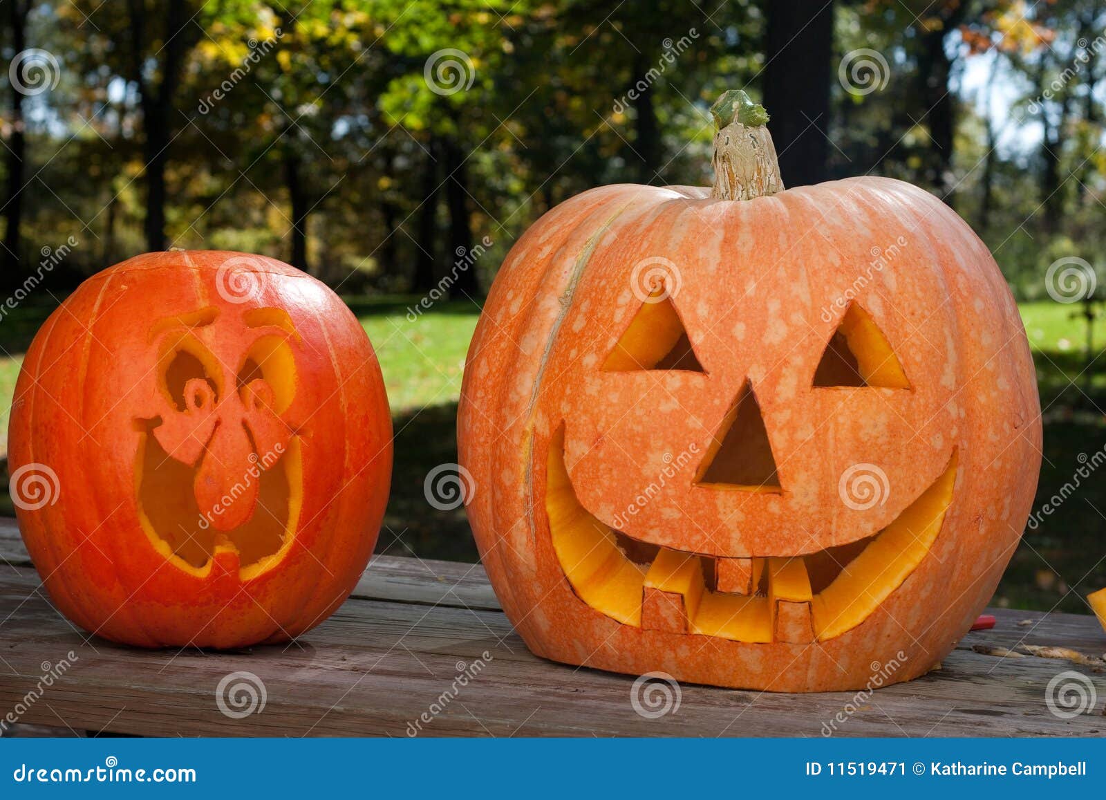 Two Pumpkins stock image. Image of seasonal, halloween - 11519471