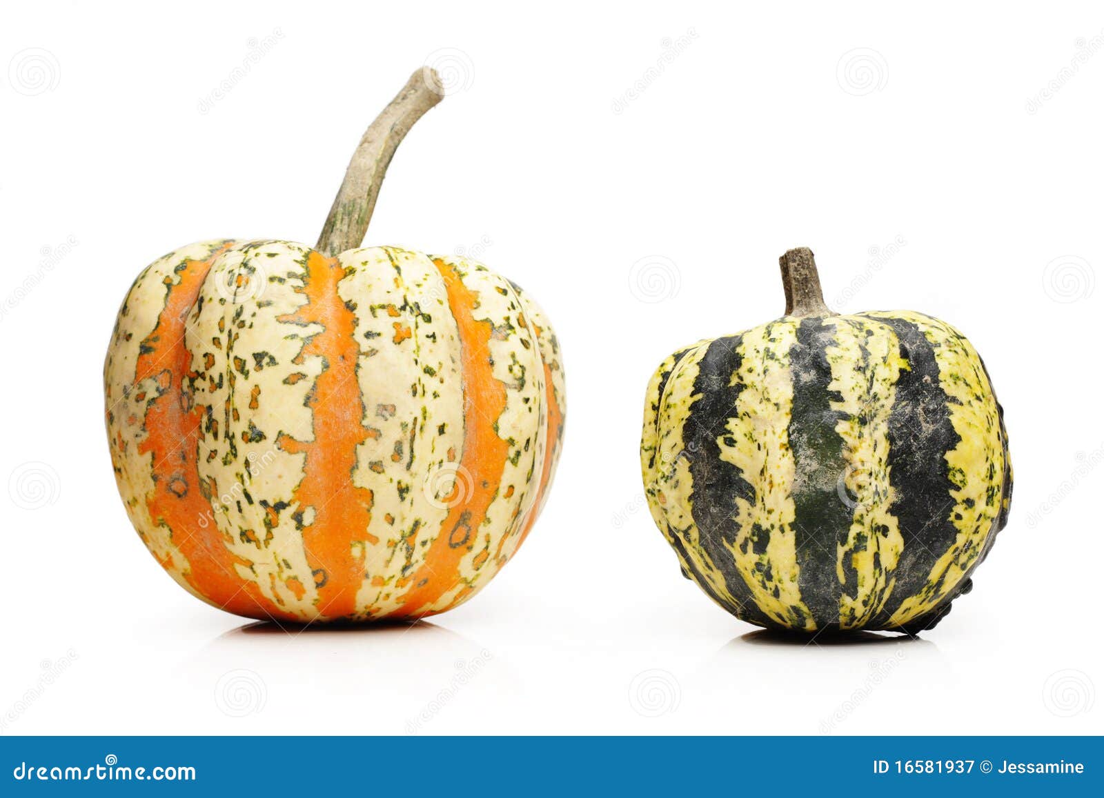Two pumpkins stock image. Image of white, orange, stripe - 16581937