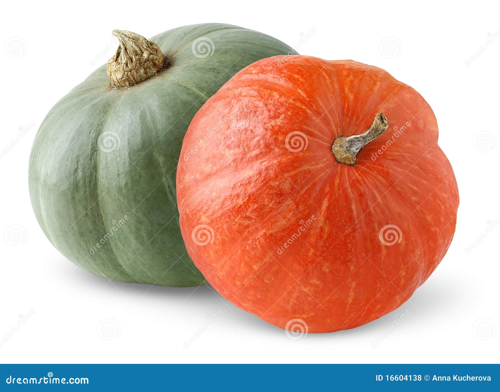 Two pumpkins stock photo. Image of cutout, orange, food - 16604138