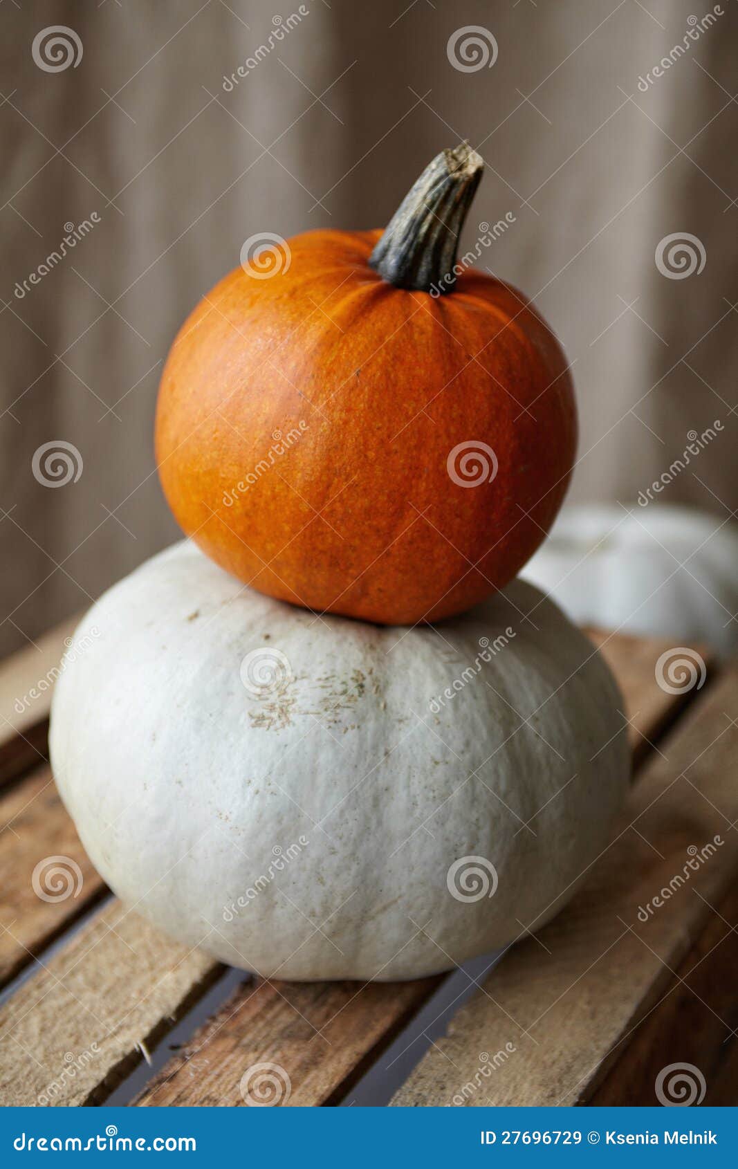Two Pumpkins stock image. Image of vegetarian, seasonal - 27696729