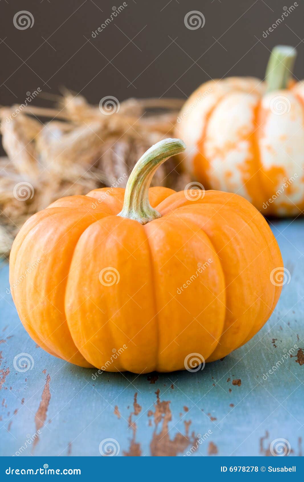 Two pumpkins stock photo. Image of fall, pumpkins, vegetable - 6978278