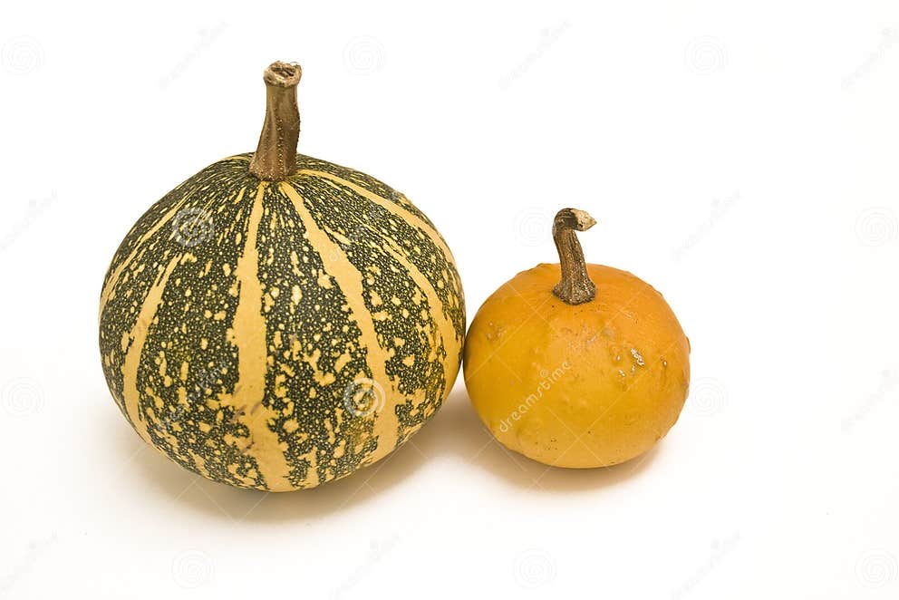 Two pumpkins stock image. Image of glow, green, lantern - 7109197